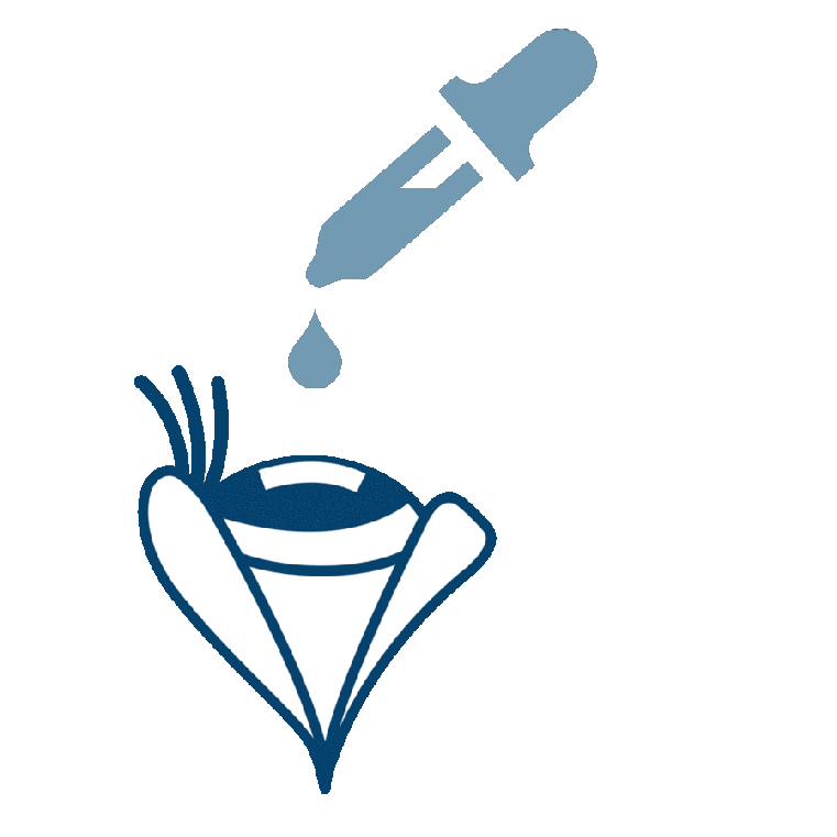 Impact of Viscosity on Eye Drop Retention