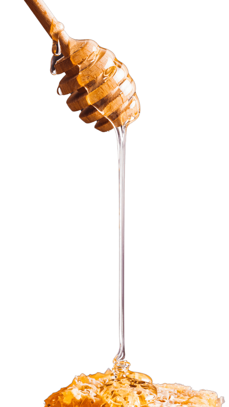 What is Viscosity? Why is it important for fluids characterization?