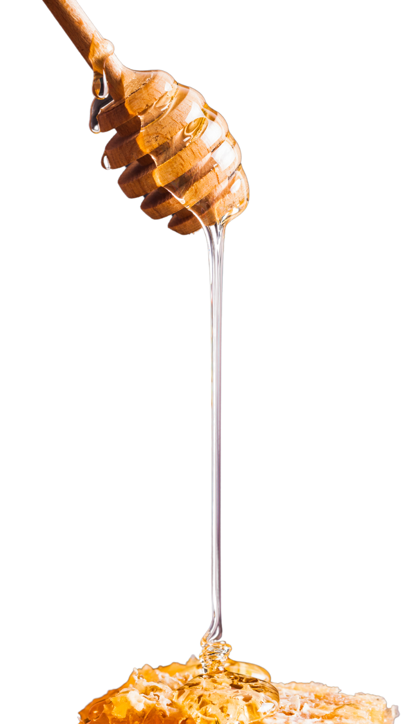 What is Viscosity? Why is it important for fluids characterization?